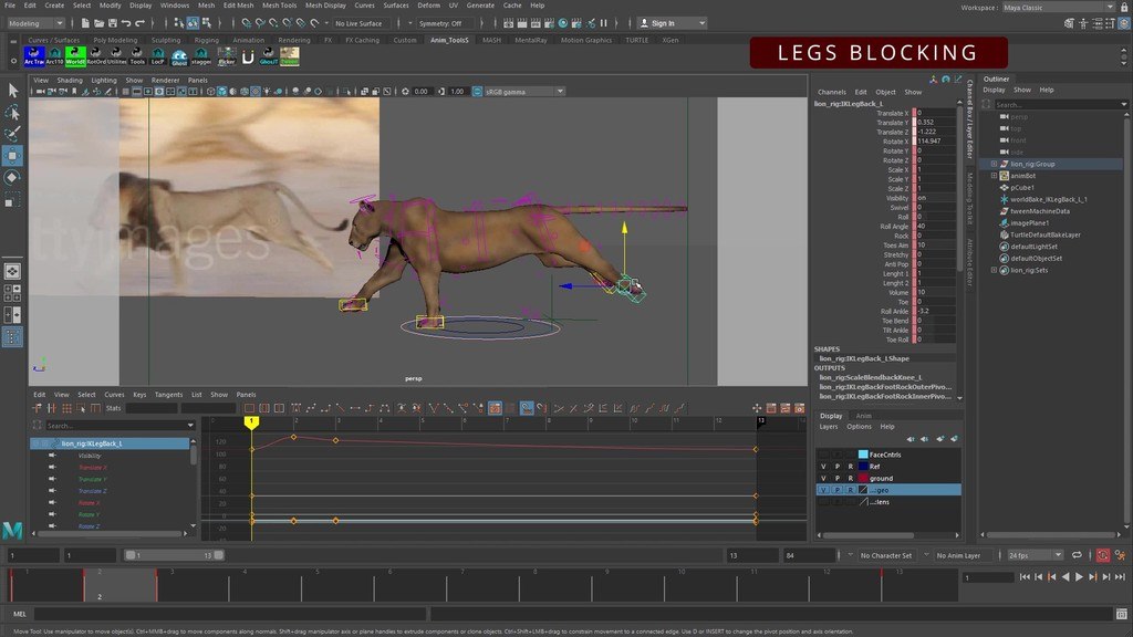Cat Run Cycle Animation Tutorial - Rusty Animator