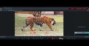 Cat Walk Cycle Animation Tutorial - Rusty Animator