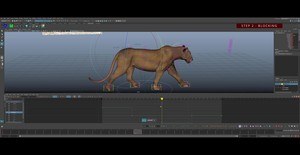 Cat Walk Cycle Animation Tutorial - Rusty Animator