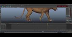 Cat Walk Cycle Animation Tutorial - Rusty Animator